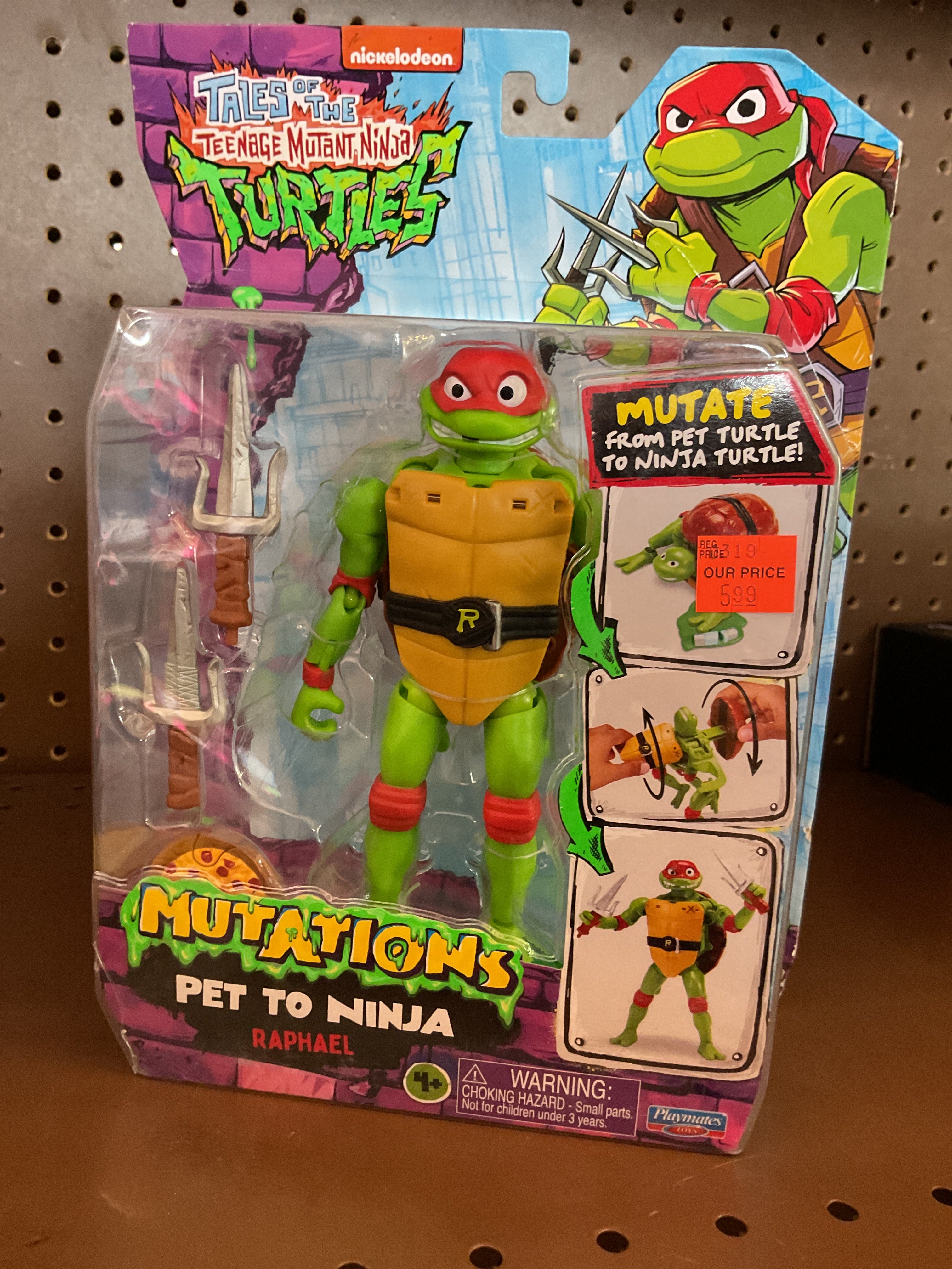 Teenage Mutant Ninja Turtles Raphael Pet to Ninja Action Figure ...