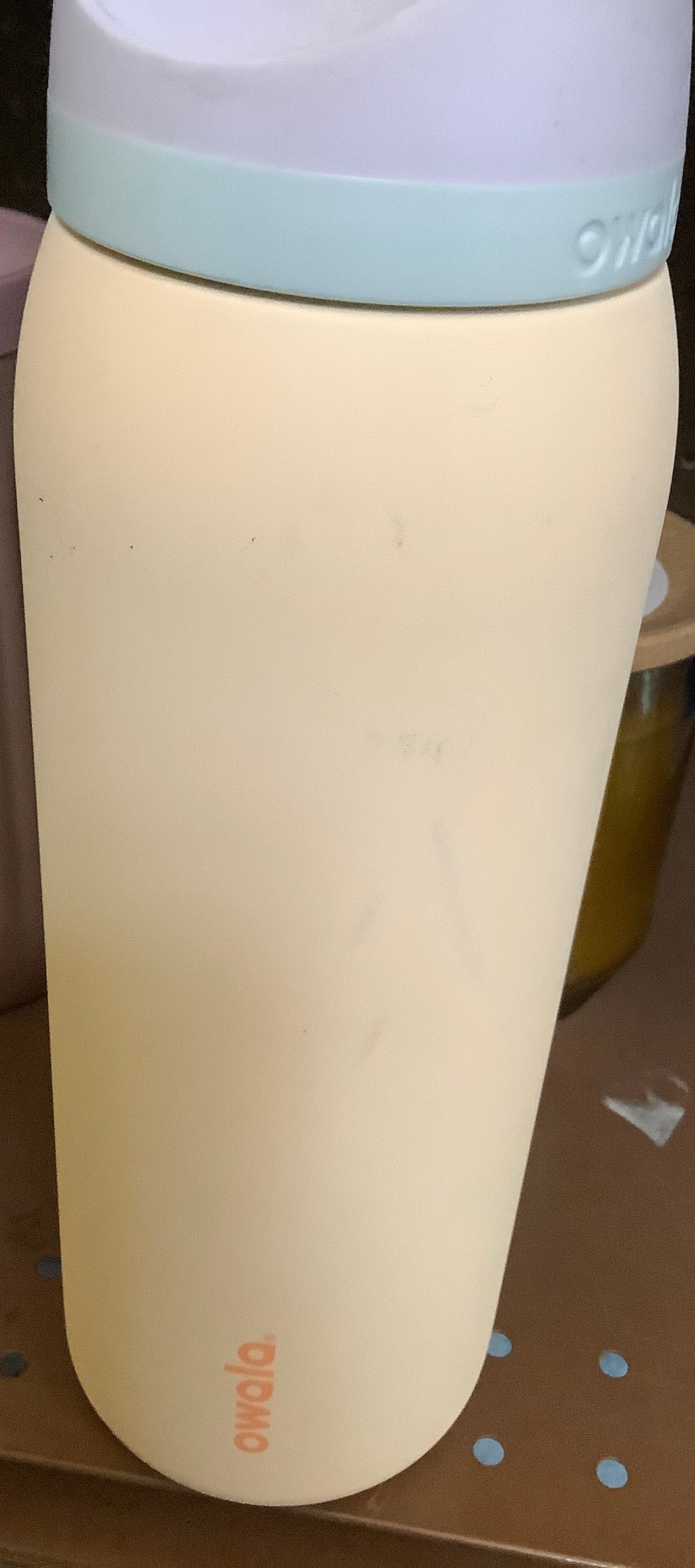 Owala 40oz FreeSip Stainless Steel Water Bottle – Discount 70 Online