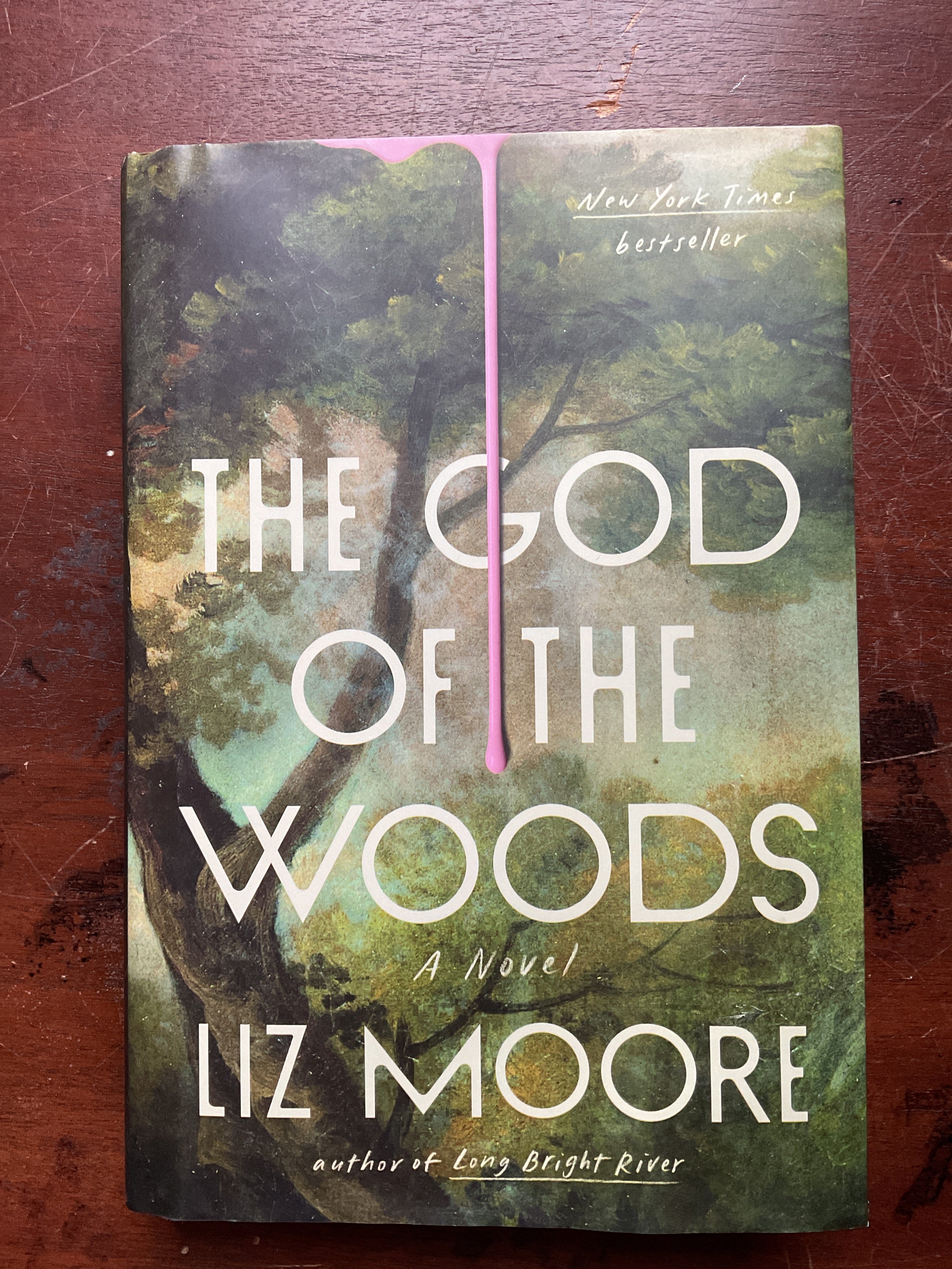 The God of the Woods - by Liz Moore (Hardcover) – Discount 70 Online