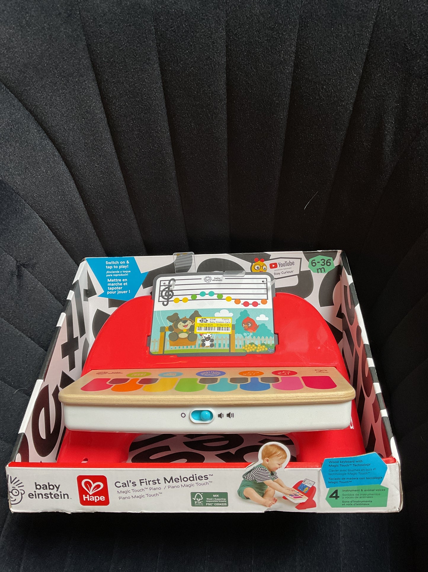 Baby Einstein Cal's First Melodies Magic Touch Piano Wooden Musical Ba ...