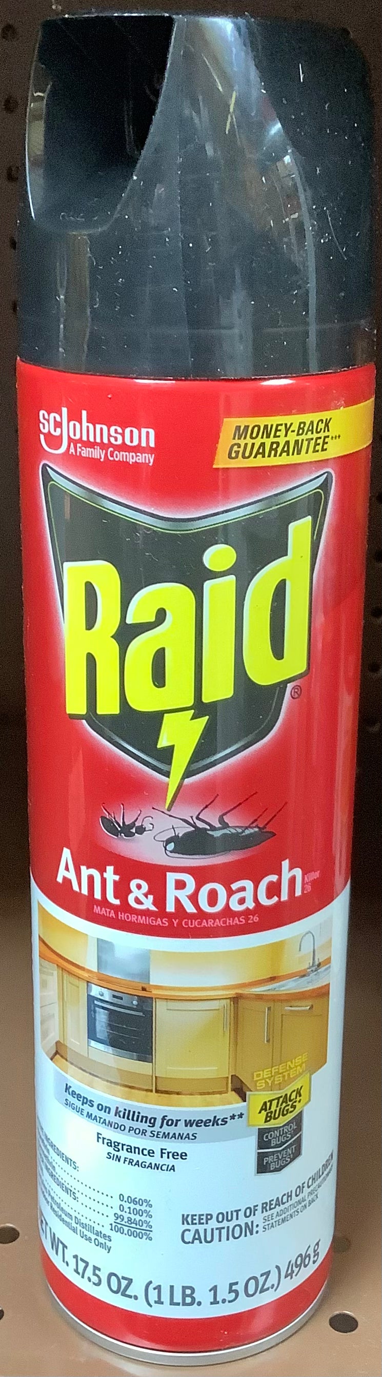 Raid Ant and Roach Killer Fragrance Free - 17.5oz – Discount 70 Online